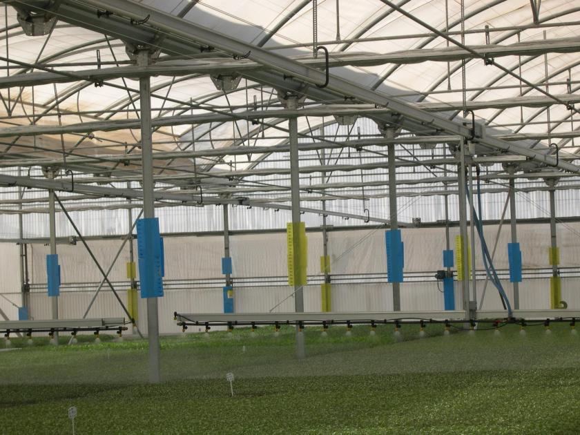 Semilleros Ecológico - Almeriplant